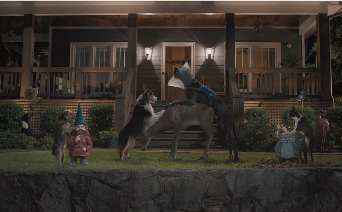 Review 'Strays' - The Extra Mile